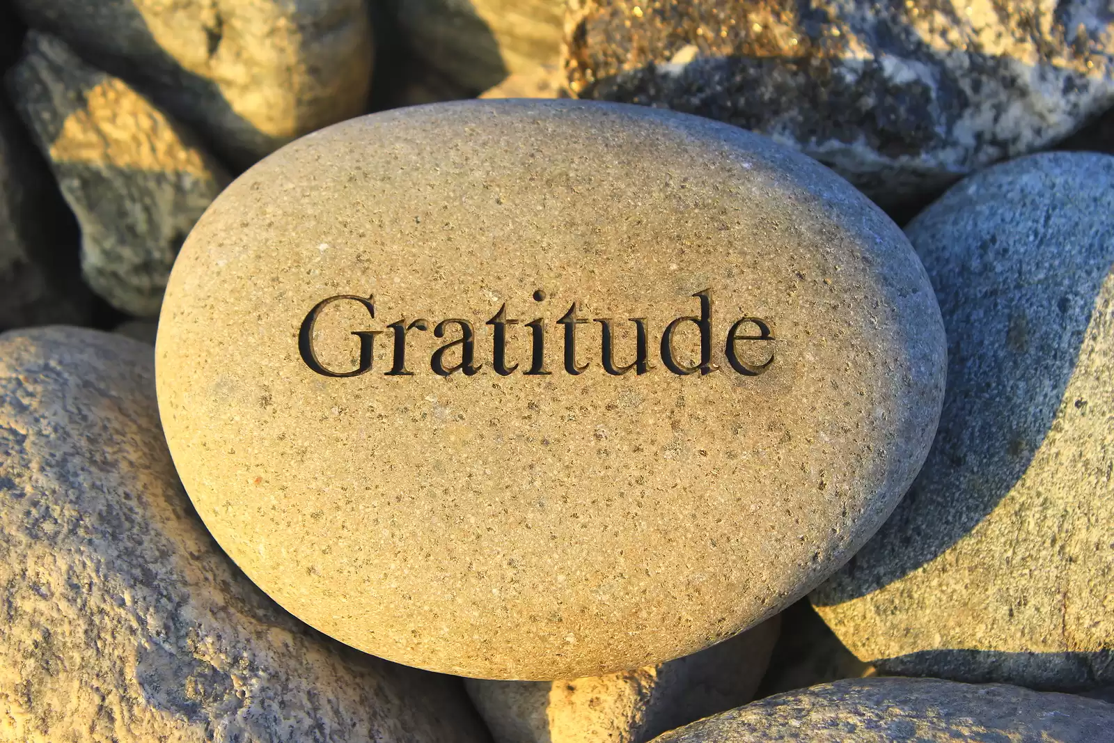 Gratitude and Hope - Priority Learning Articles | Priority Learning 1